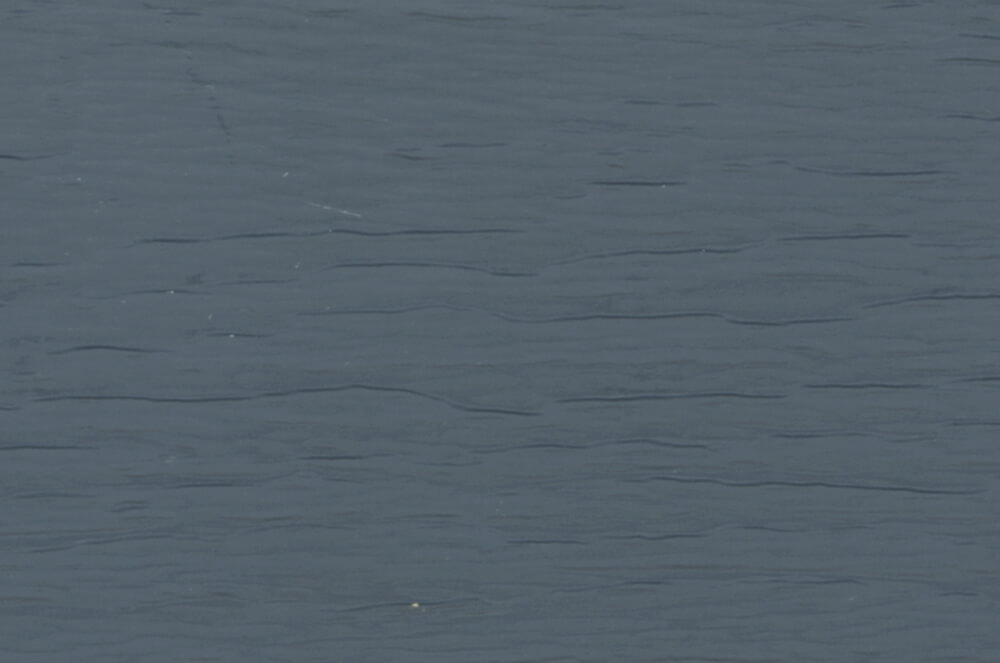 Siding Colors and Options for Modular & Manufactured Homes | Deer ...